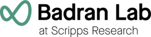 Contact - Badran Lab - The Scripps Research Institute